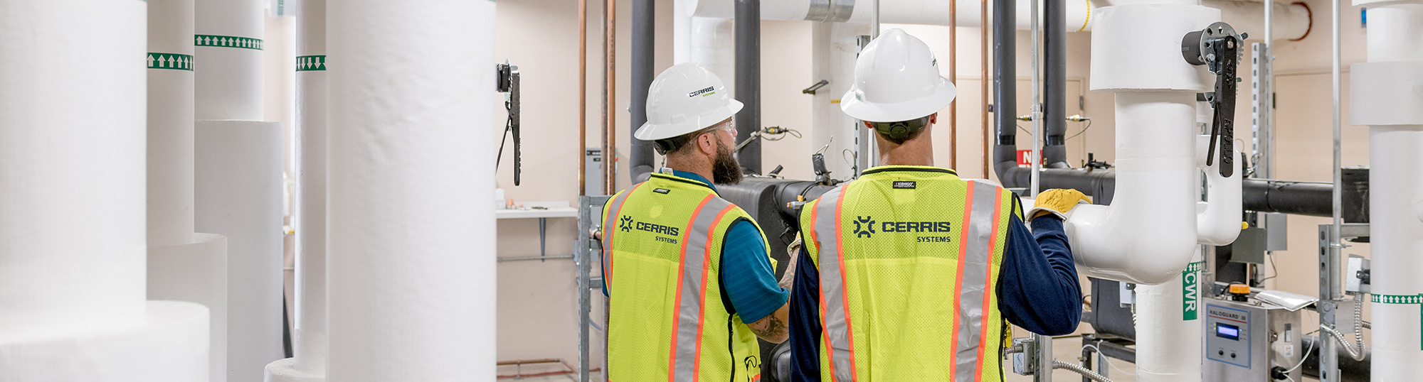 Digital Access Statement - Cerris