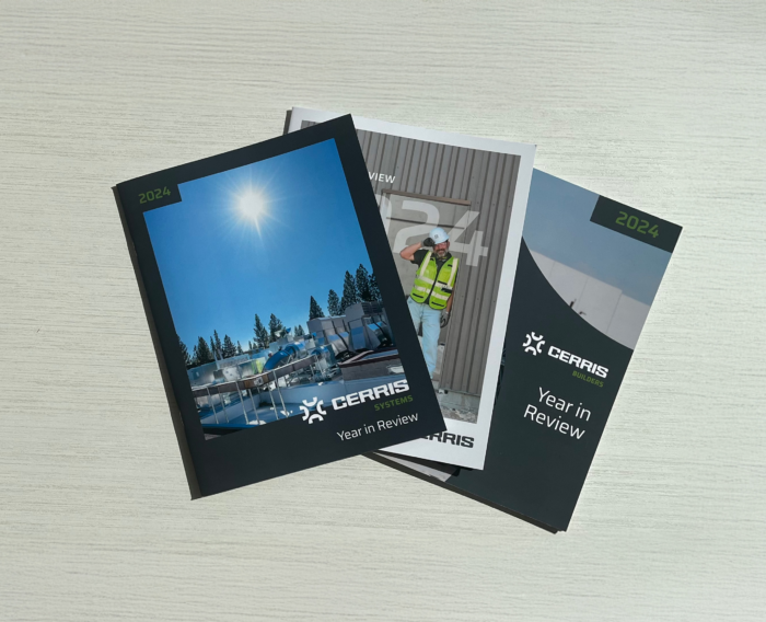 Our 2024 Year In Review is Here - Cerris